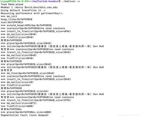 深入理解计算机系统实验日志（四）——malloclab Debug实验记录malloclab如何调试 Csdn博客