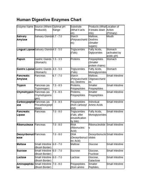 Make A Chart Of Human Digestive Enzymes On Chart P Pdf Stomach