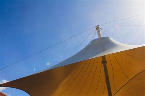 remarkable cable structures using advance design applied software