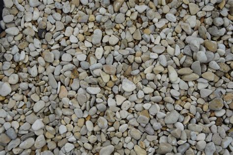 Mignonette 4 10 Hoveniersbedrijfbe