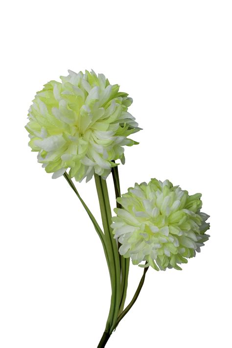 Af Sdl Lg Height 75cm