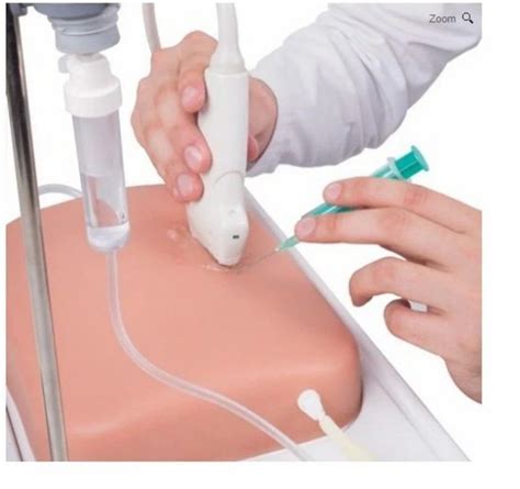Ultrasound Training Simulator At ₹ 385000 Bhopal Id 26264624930