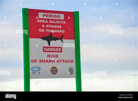 A Shark Attack Has Been Registered In Boa Viagem Beach South Of Recife