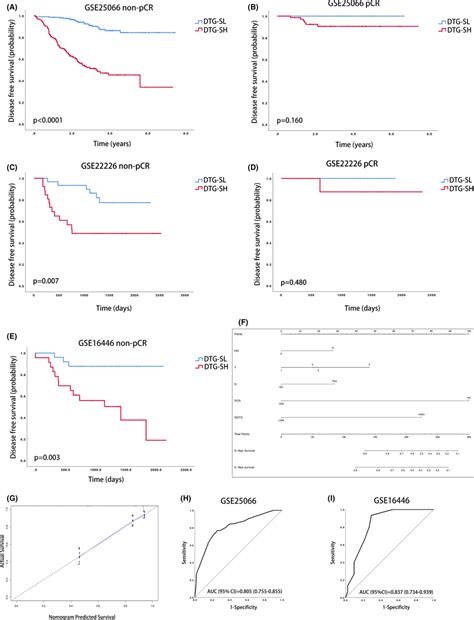 The Improvement Of Dtg‐s Classification For Dfs Kaplanmeier Curves In