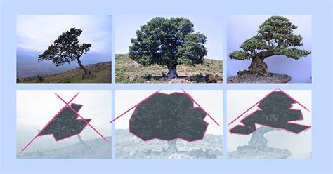 Babe Lab Pinup Research And Development The Canopy Effect