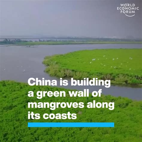 Sabitha Thomas Posted On Linkedin