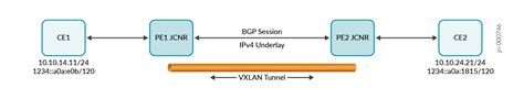 Evpn Type 5 Routing Over Vxlan Tunnels Cloud Native Router 233
