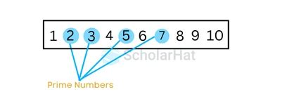 Prime Numbers In Java Simple Logic And Code