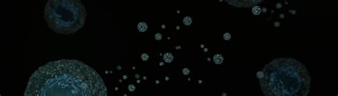 Exosome Isolation Methods For Disease Research Biocompare Posted On