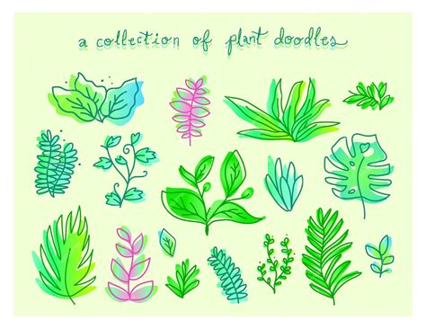 Premium Vector Plant Doodles