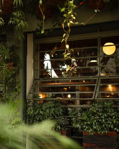 Lardo Elena Reygadas