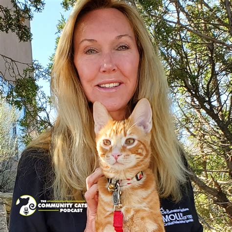 Working Cats With Molly Devoss Founder Of Cat Behavior Solutions The Community Cats Podcast