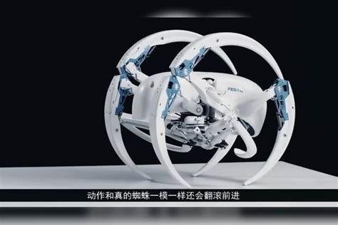 老外发明仿生机器鸟，引来同类围观，真是大开眼界