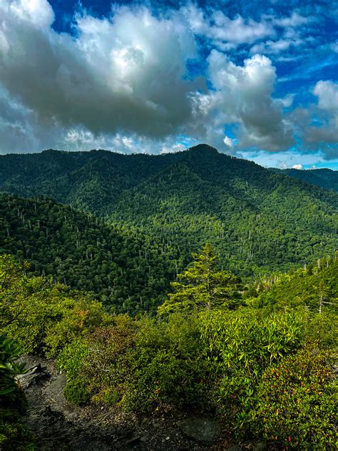 After Isabela Le Flickr