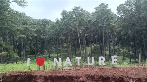 On Your Andhra Visit Include Lambasingi In Your Itinerary For Its