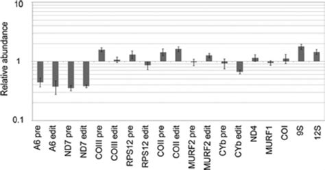 Effect Of Tbrgg3 Knockdown On Mitochondrial Rna Levels Rna Was Download Scientific Diagram