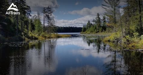 Aldrich Pond Wild Forest Die Besten Routen Zum Wandern Alltrails