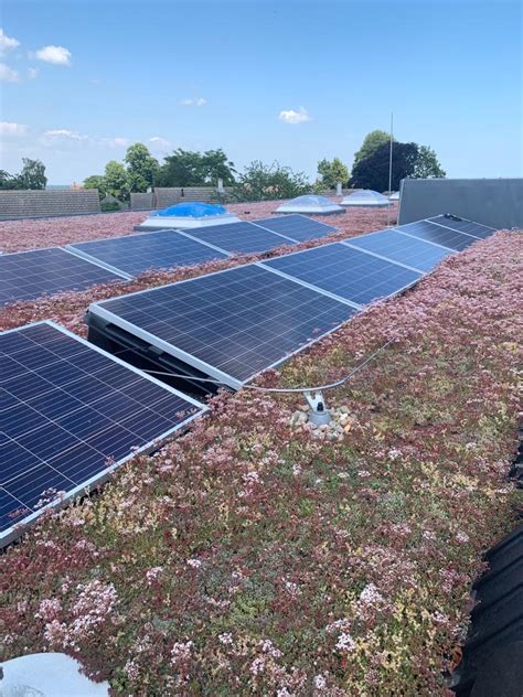 Harnessing Synergy Blue Roofs