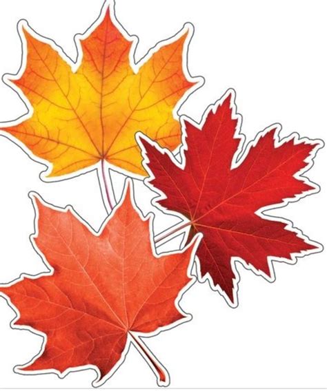 Free Leaf Cutouts Printable Fun And Easy Printables For Everyone