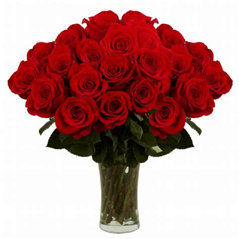 Roos 60 70cm Punane Lilleõis