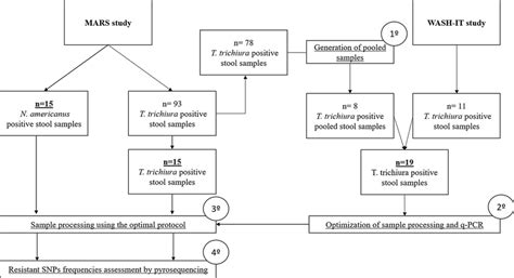 Sequence Flow Chart Example