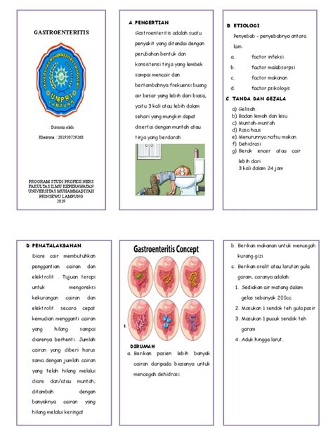 Leaflet Gastroenteritis Pdf