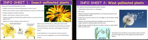 Flowers And Pollination Ks3 Activate Science Teaching Resources