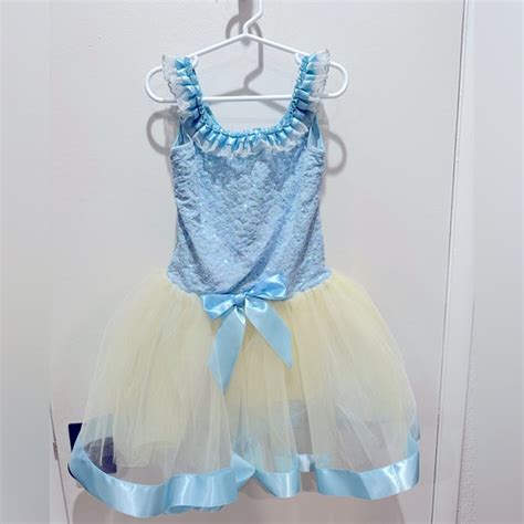Evolution And Creation Costumes Evolution Dance Costume Cinderella Poshmark