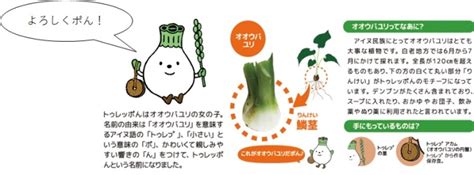 開業から3年 改めてウポポイについて紹介します！〔開発監理部 アイヌ施策推進課〕 ｜北海道開発局