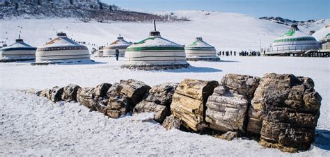 Mongolia In Winter Avis Mongolia