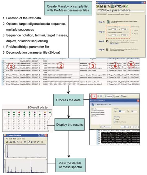 Promass For Masslynx Software For Oligonucleotide Analysis Waters