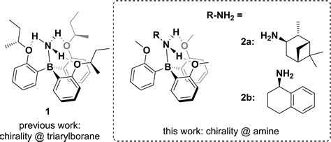 Inducing Propeller Chirality In Triaryl Boranes With Chiral Amines