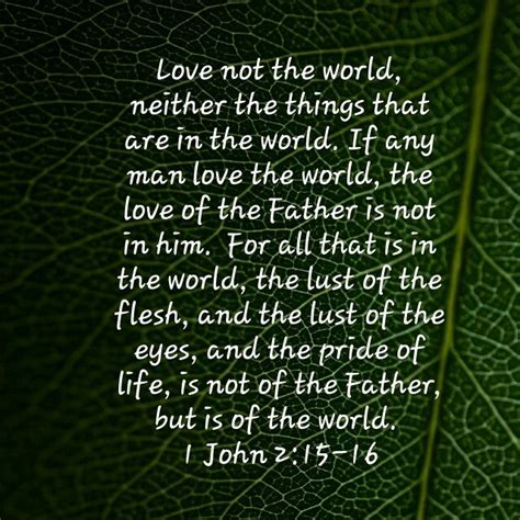 1 John 215 16 Kjv Love Not The World