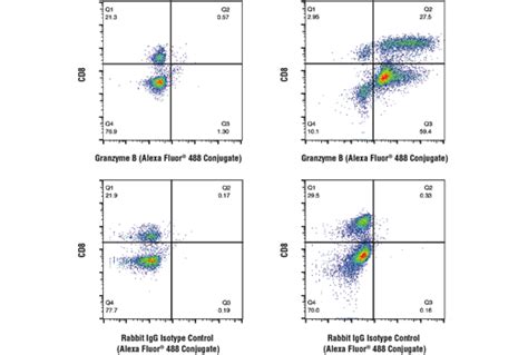 Mouse Essential T Cell Markers Flow Cytometry Panel Cell Signaling