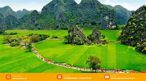 Thai Vi Temple Discover Ninh Binhs Serene Royal Retreat In Tam Coc