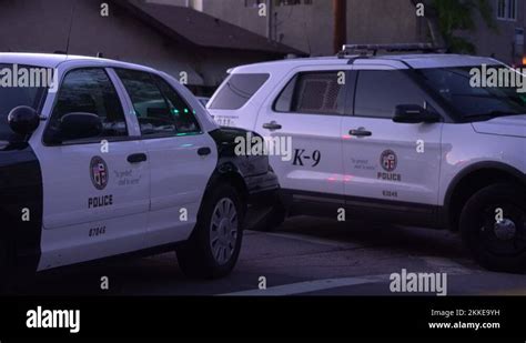 Lapd Police Units And Detectives At Crime Scene Stock Video Footage Alamy