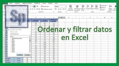 Cómo Filtrar En Excel Tutorial Completo Para Principiantes