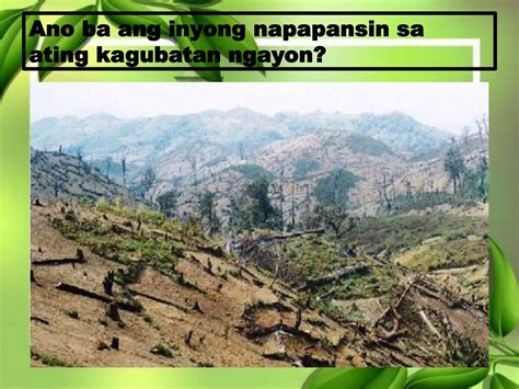Mga Likas Na Yaman Kagubatan At Pptx