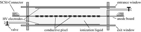 Schematic Cross Section Of The Detector Download Scientific Diagram