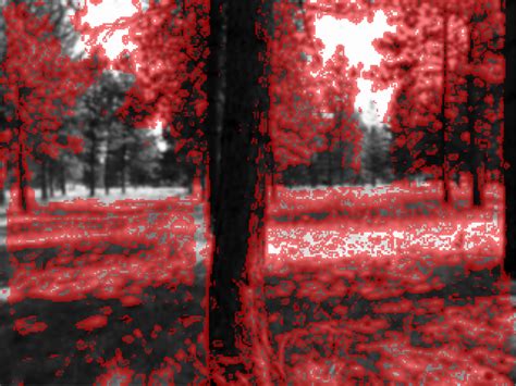 Gradient Magnitude Based Pixel Selection Selected Pixels Shown In Red
