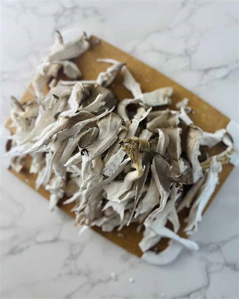 Easy Oyster Mushroom Tacos Recipe
