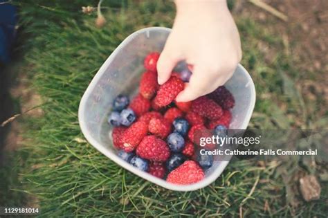 Raspberry Falls Photos And Premium High Res Pictures Getty Images