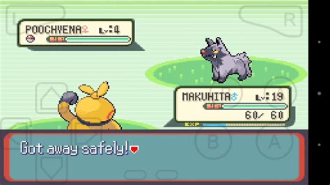 Como Capturar A Ralts En Pokemon Ruby Youtube