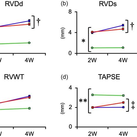 Effects Of Vagal Nerve Stimulation Vns On Pressurevolume Loop