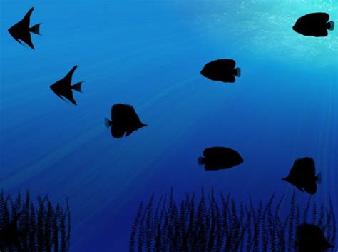 Fish Shadow Mural Wallpaper