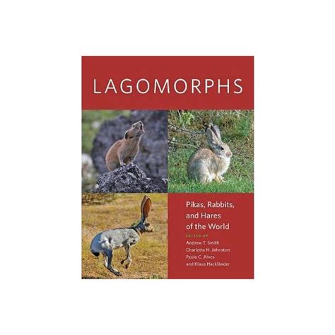 Lagomorphs By Paper Plus