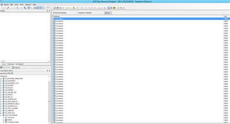 Sap Data Services Designer Displays Blank Table And Column Names Community