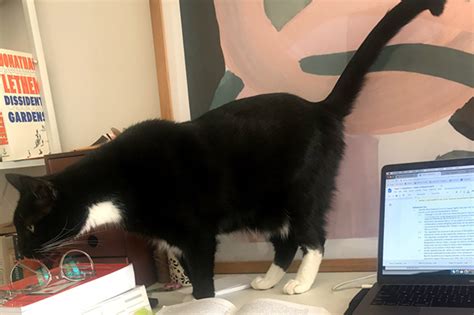 This Is Allens Grace Stals