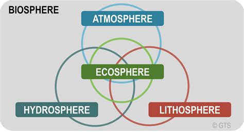 The Environmental System The Geography Of Transport Systems