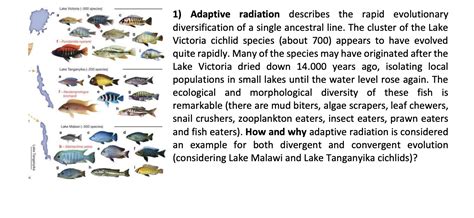 Adaptive Radiation Describes The Rapid Chegg